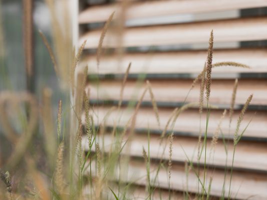 Sam Ovens Works | Award-Winning Garden Design Projects
